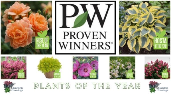 Proven Winners Plants of The Year