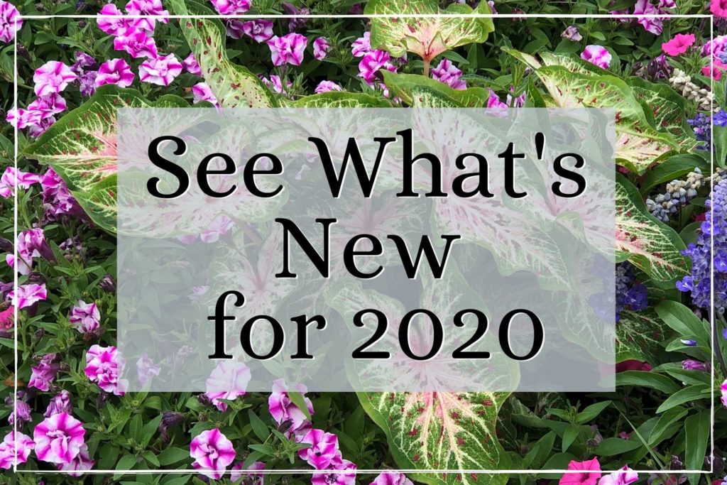 Shop the New Garden Plants from Garden Crossings