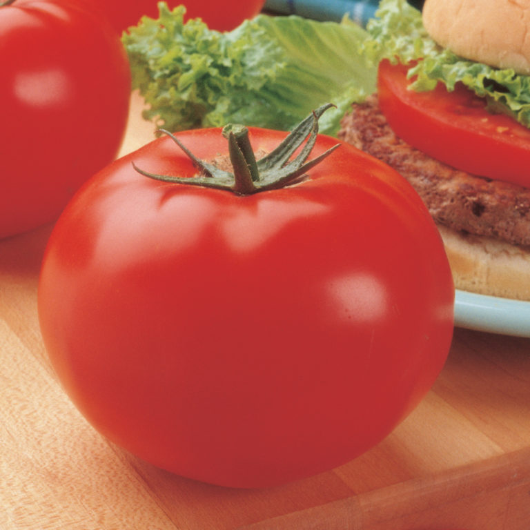 Tomato Big Beef - Buy Tomato - Beefsteak Edibles Online