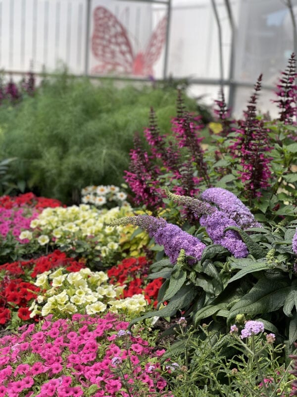 We Built a Butterfly House! – Garden Crossings in Zeeland, Michigan