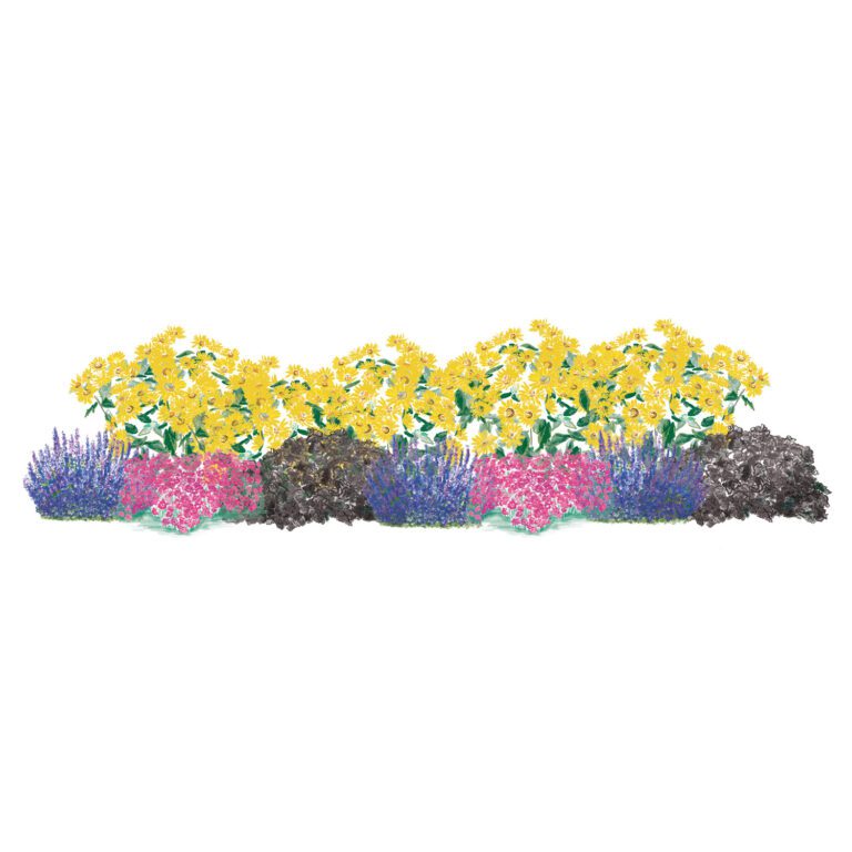 EZ Scapes™ Deer Resistant Sunscape #2 – Garden Crossings
