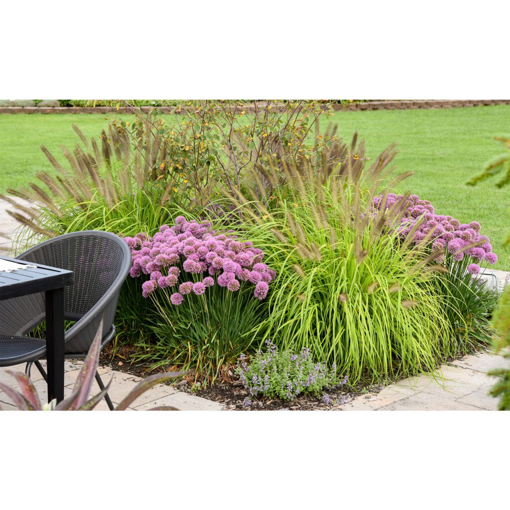 EZ Scapes™ Deer Resistant Sunscape #1 – Garden Crossings