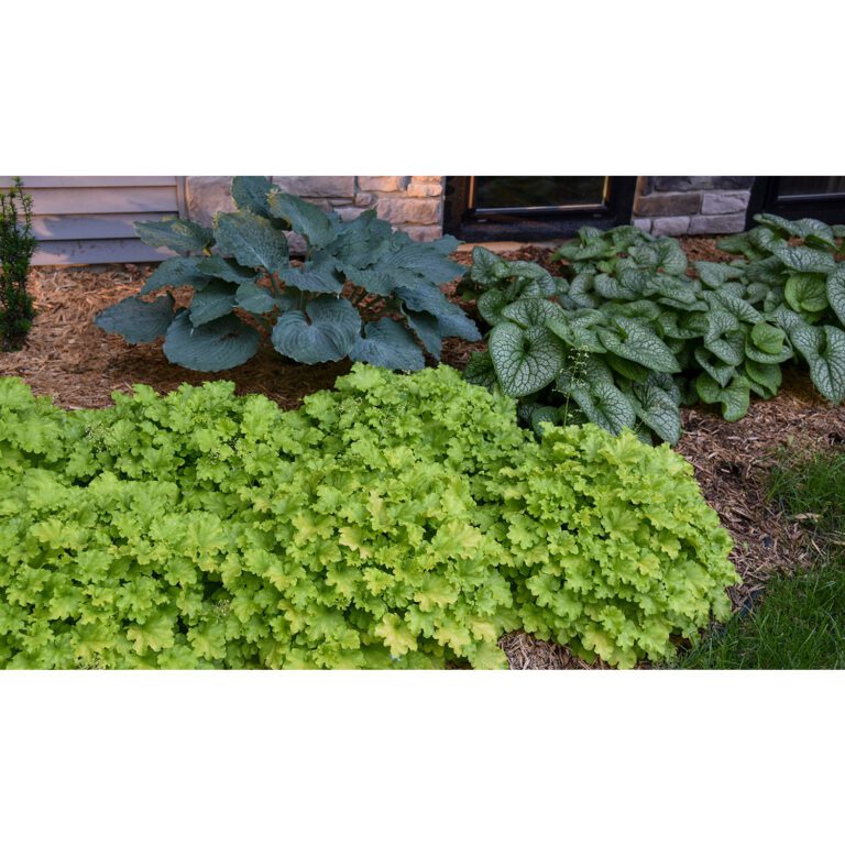 EZ Scapes™ Foliage Friendly Shadescape – Garden Crossings