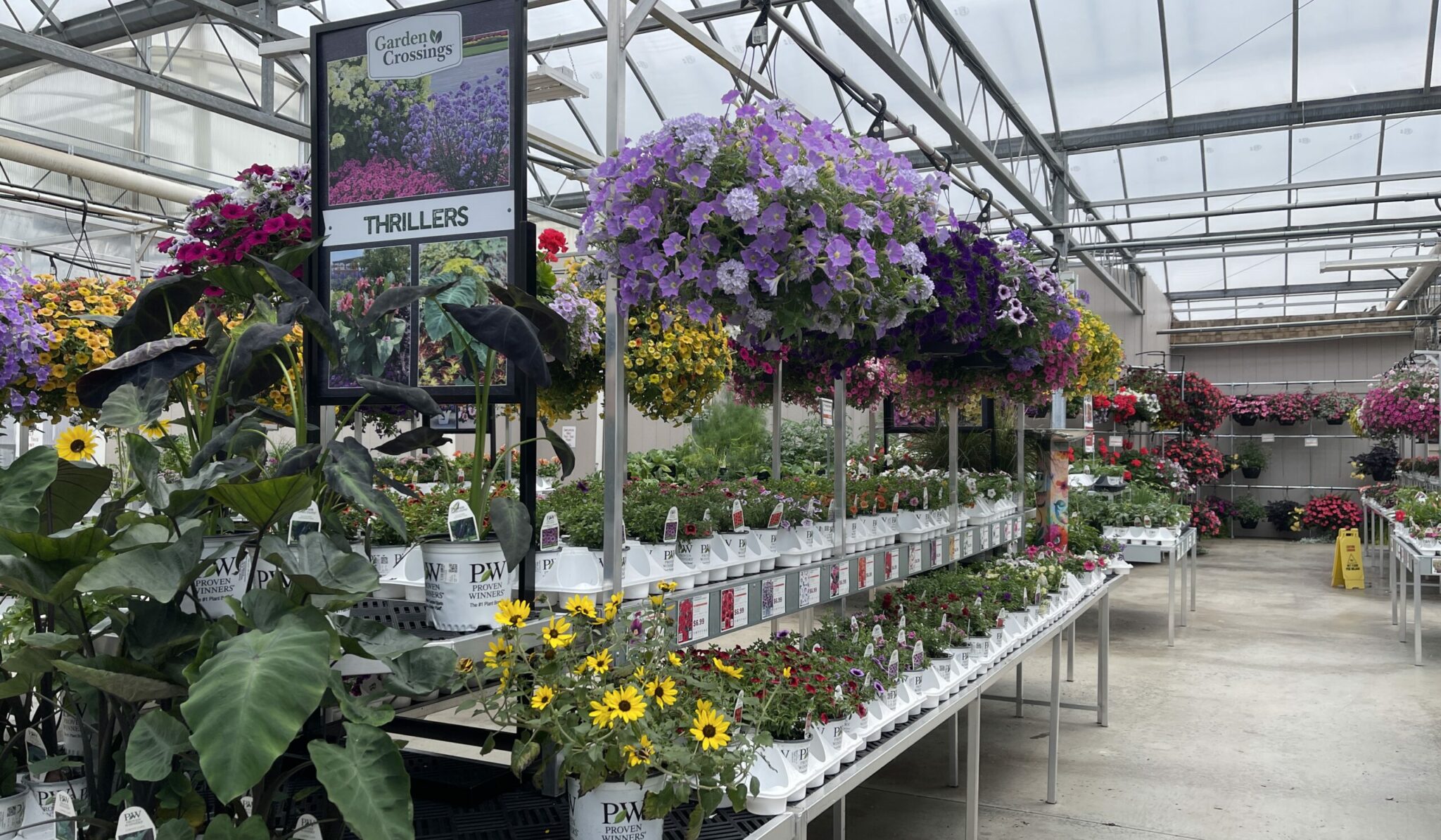 Your Destination for Proven Winners - Visit Garden Crossings