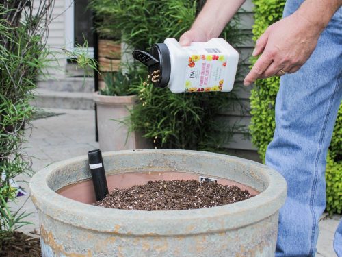 Everything You Need to Know About Fertilizing Your Plants - Garden ...