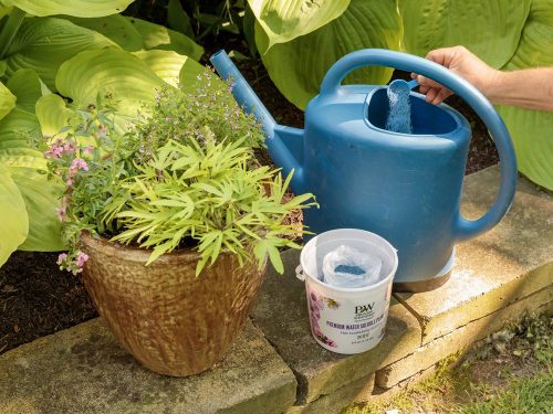 Everything You Need to Know About Fertilizing Your Plants - Garden ...